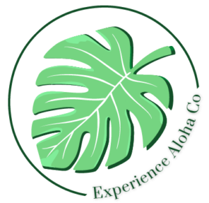 Luxury Picnic Packages by a Premium Picnic Company